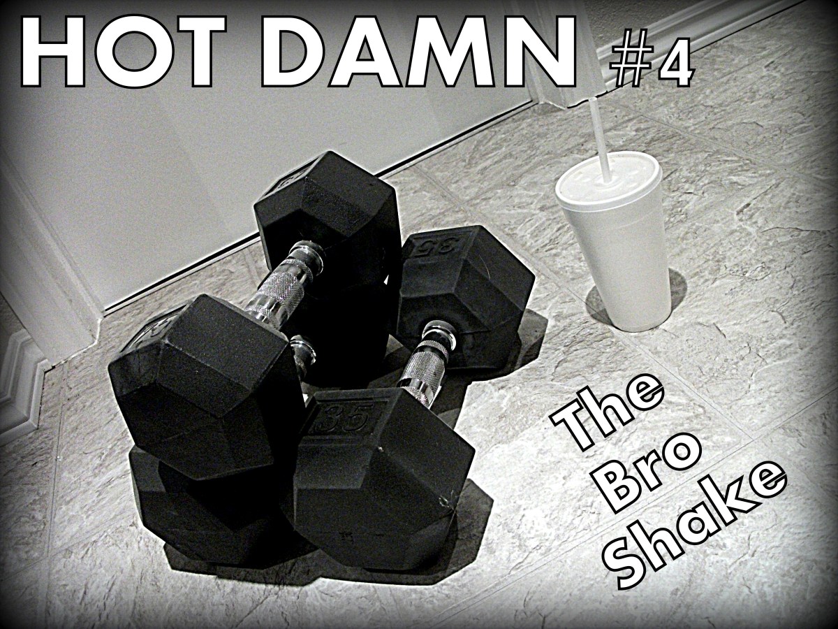 HOT DAMN #4 – The Bro Shake | zs roe